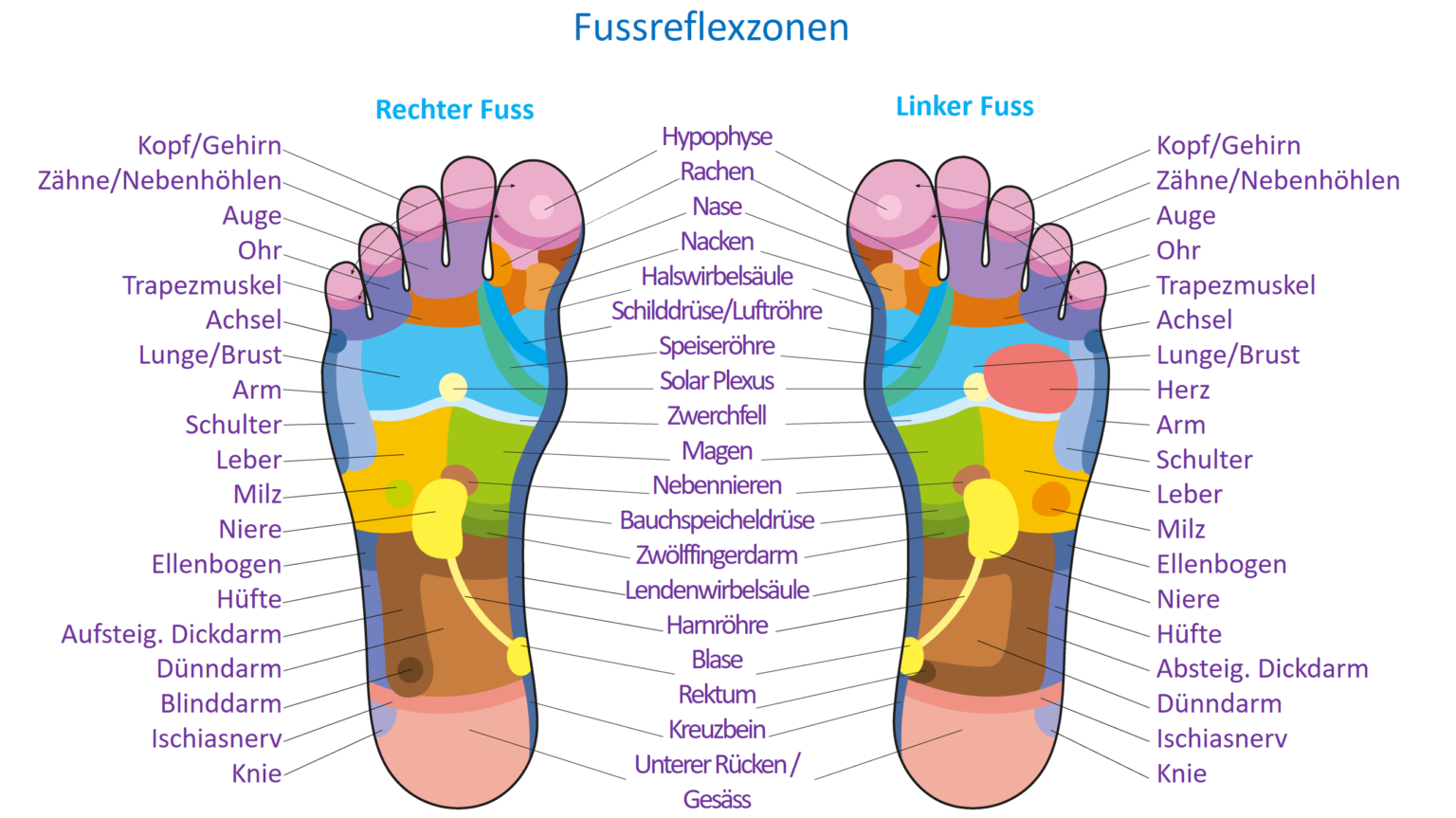 Fussreflexzonenmassage | Zürich Thai Massage